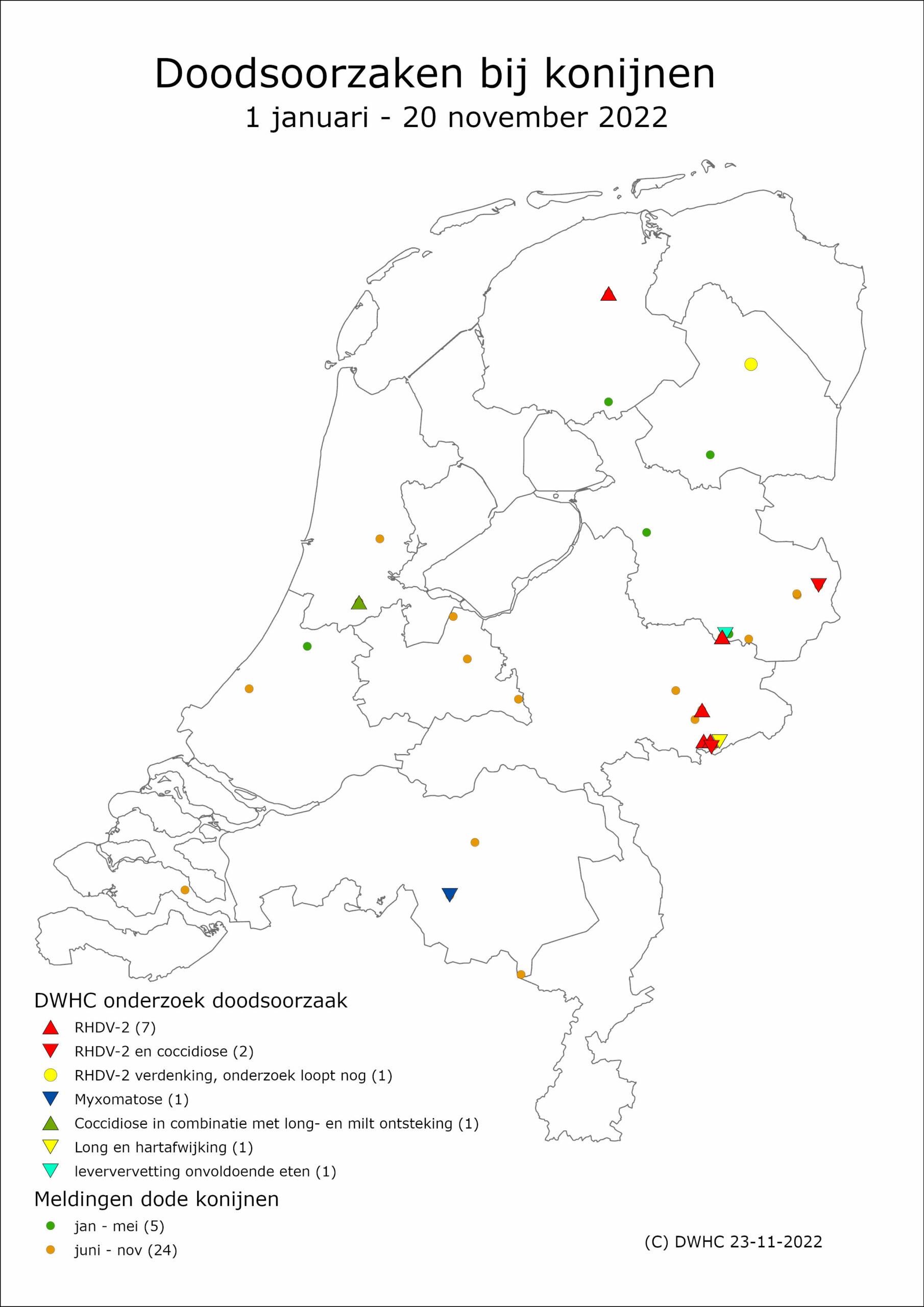 Konijnensterfte voornamelijk door Rabbit Hemorrhagic Disease Virus 2 ...